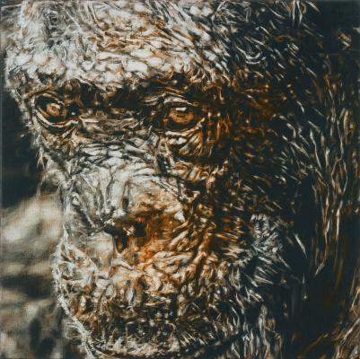 Artist Gilad Efrat `uncovers' an image