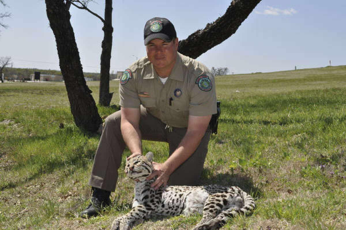 Tompkins: Mysterious carcass sparks debate, interest