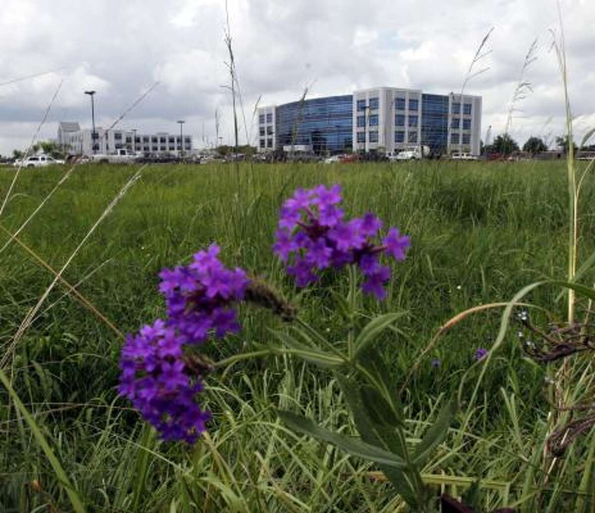 The quirky story behind the discovery of oil in Tomball in the 1930s