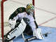 With no Locke and Hamilton, Aeros lose to Marlies