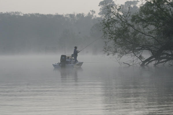 Tompkins: Favored fish flourishes with spring spawn