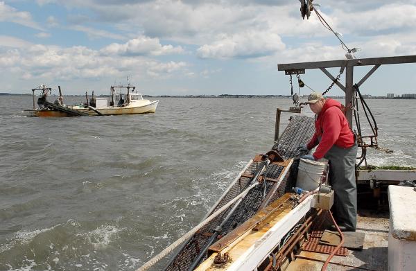 Lawmakers remain silent on helping clammers