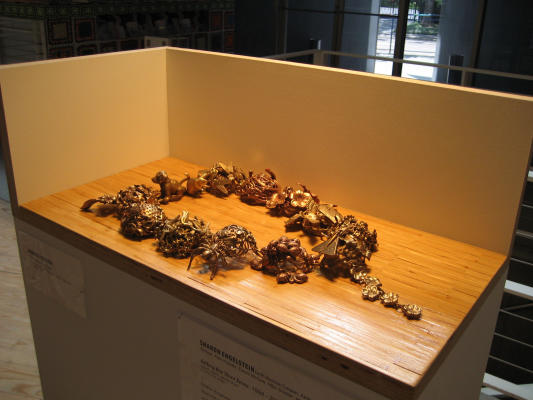 Artist reopens 1.37-square-foot gallery for CAMH exhibit