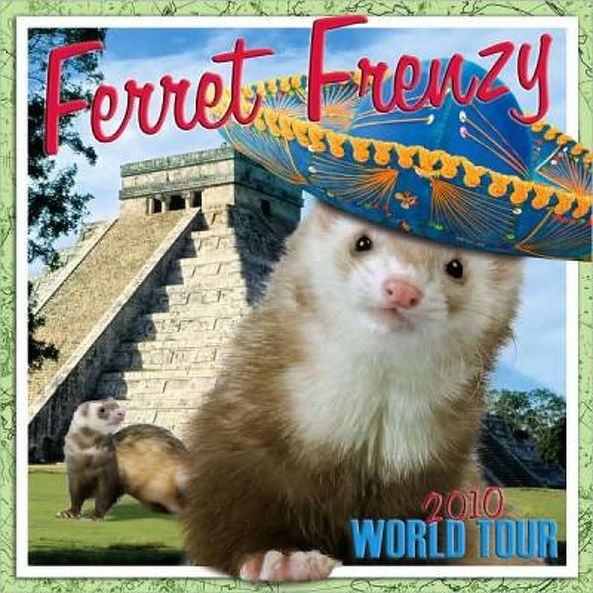 Pets strike a pose for new crop of calendars