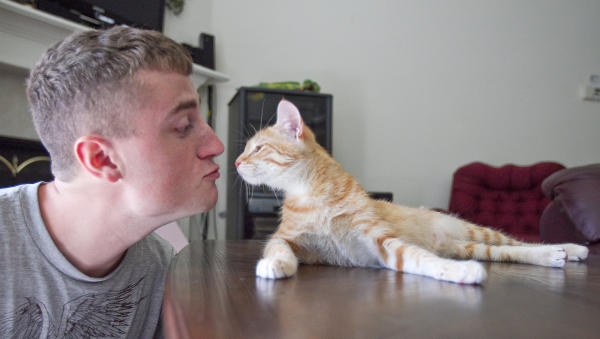 Marine makes sure Afghan cat has a home in Pearland
