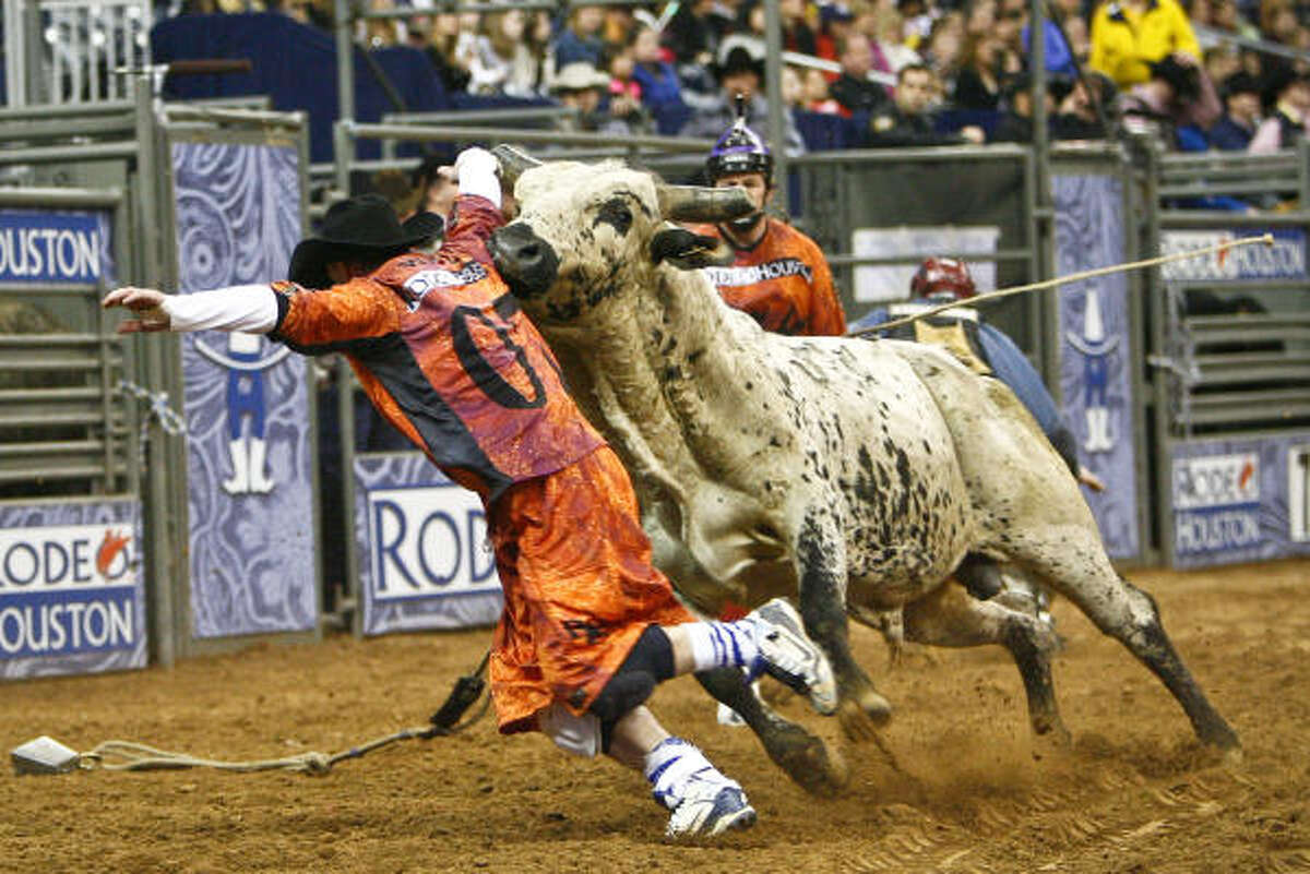 Ouch! A load of bull