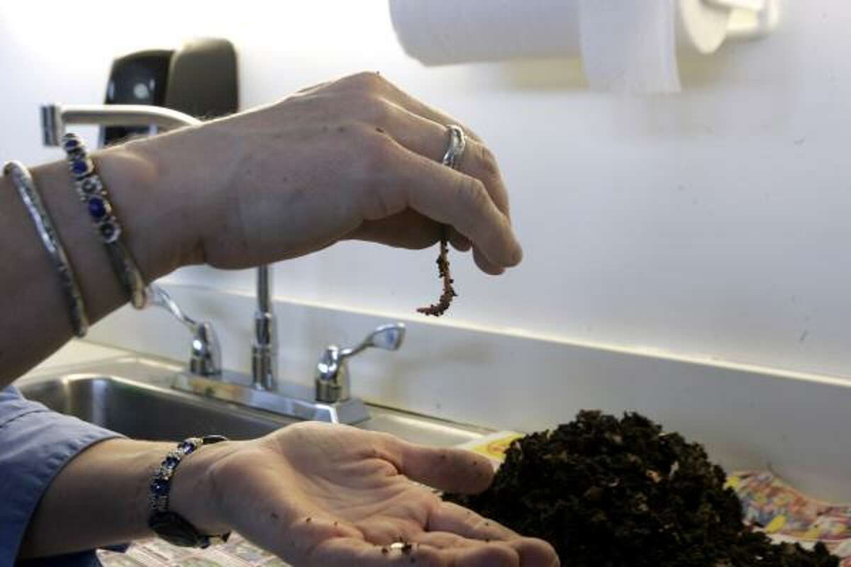 Don't forget worms do the dirty work in garden