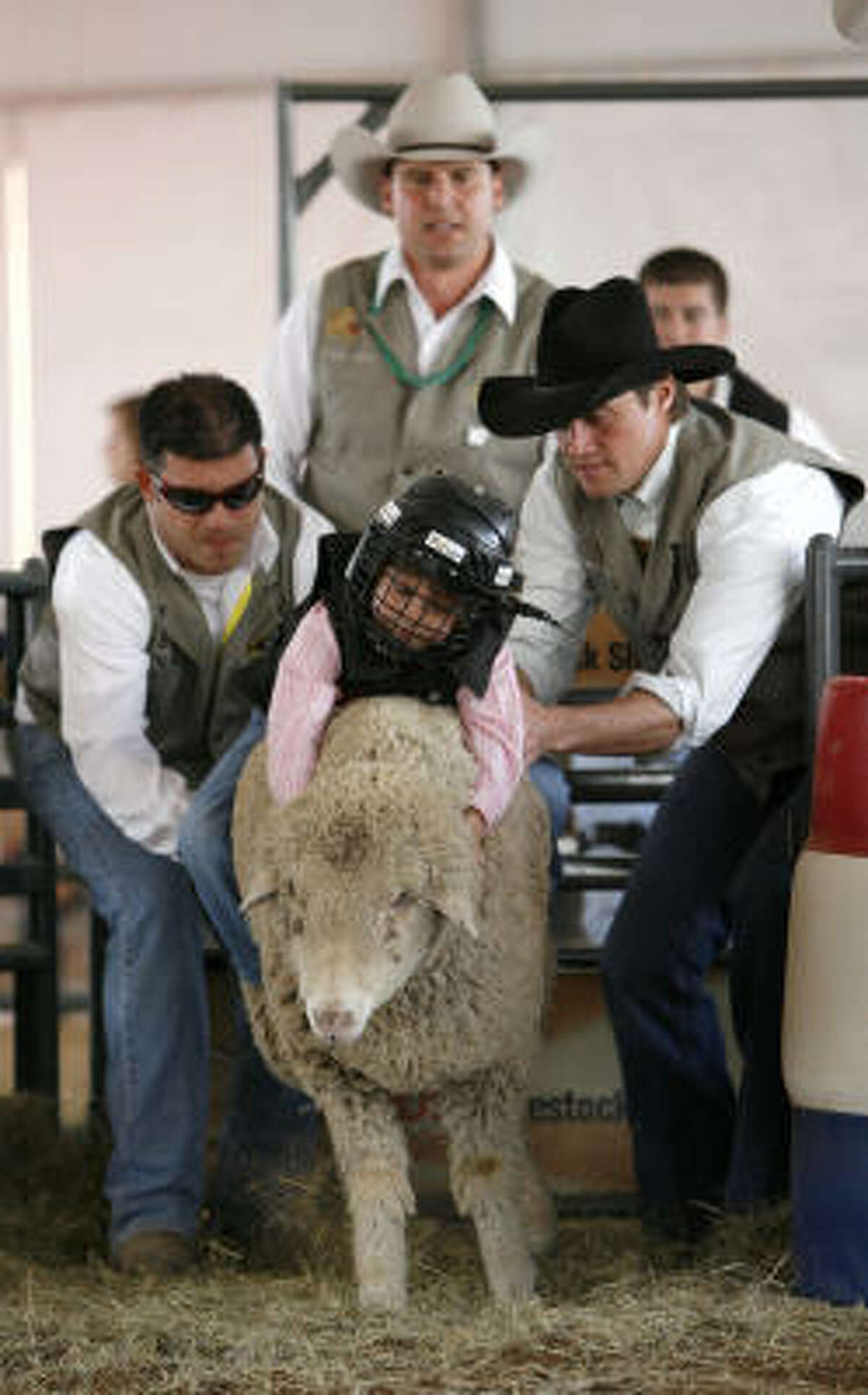 The first year of Mutton Bustin'