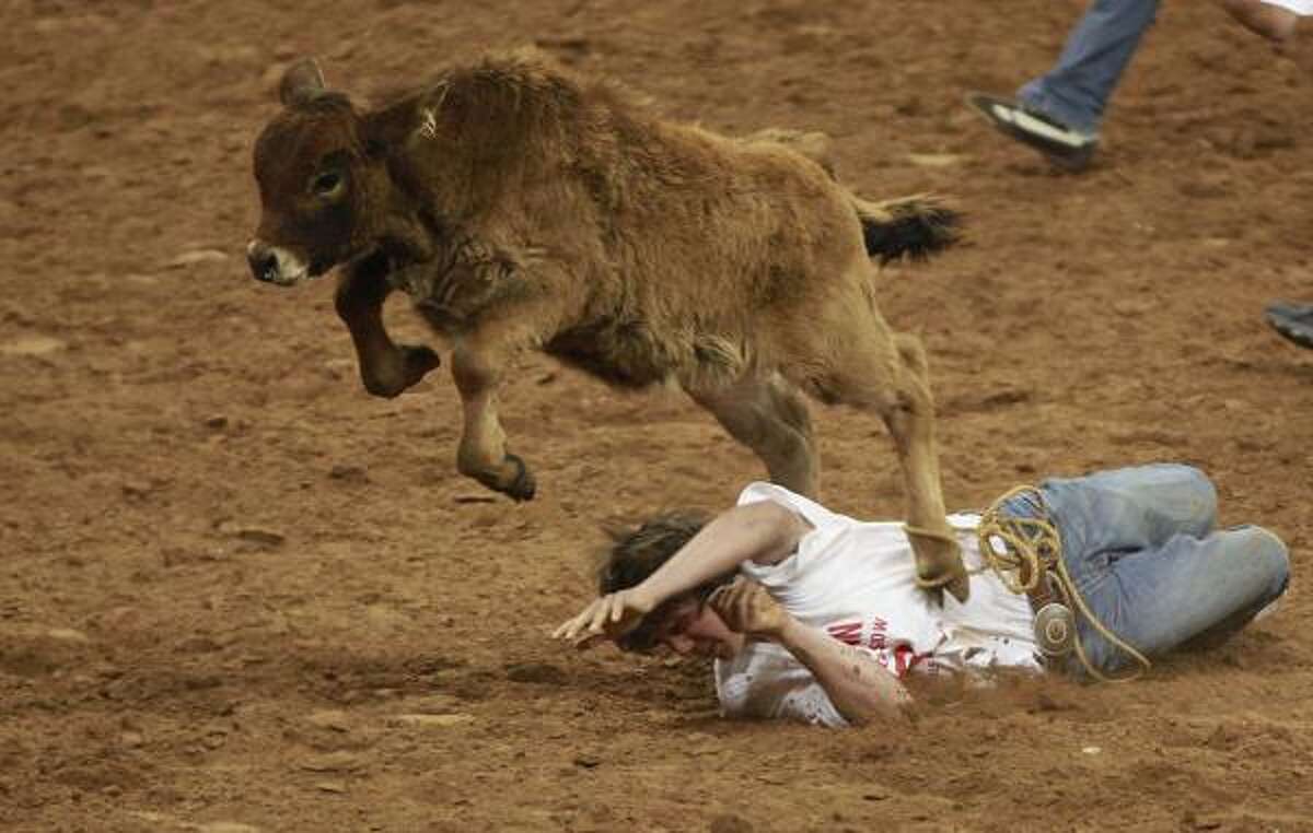 Houston Rodeo selects new leader