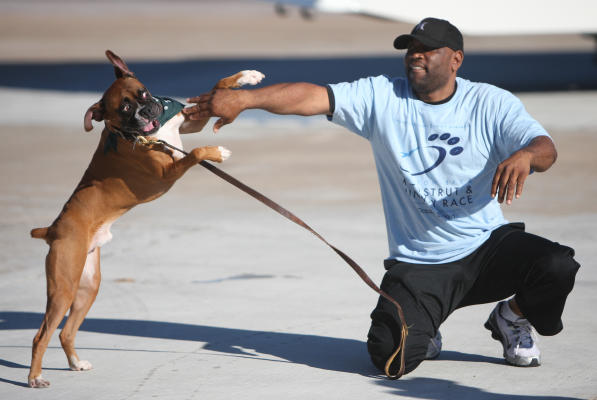 Dogs ready to strut their stuff at Saturday's Mutt Strut