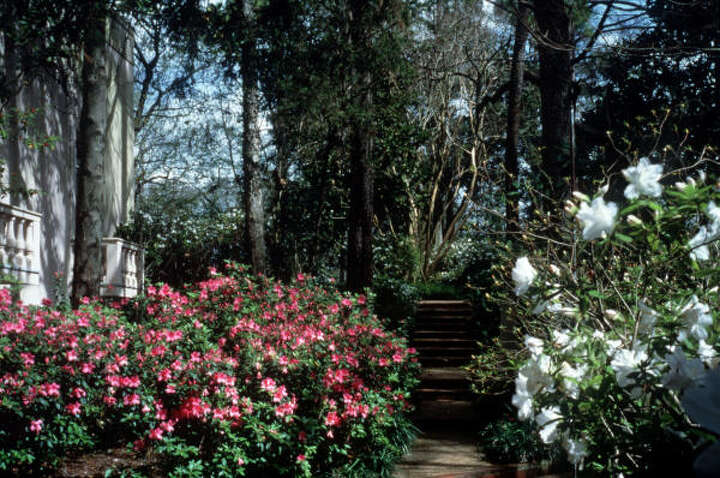 Spring House and Garden Days in Houston