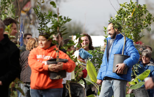 Fruit tree sale is a jump start on spring