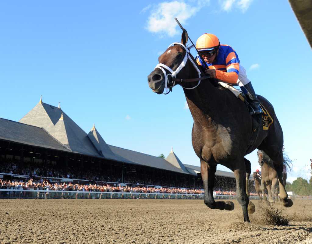 Stay Thirsty a real Dandy