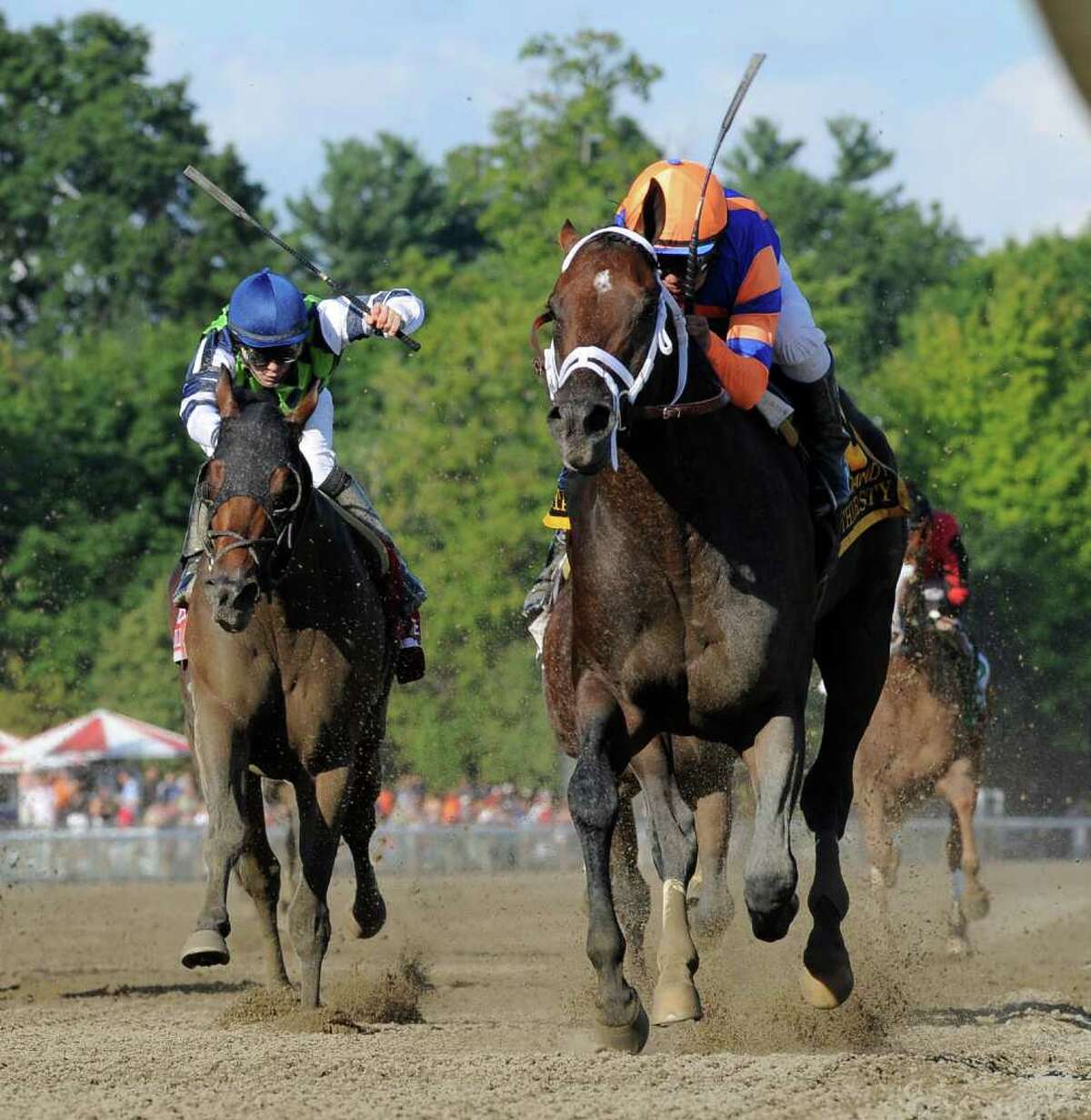 Stay Thirsty a real Dandy