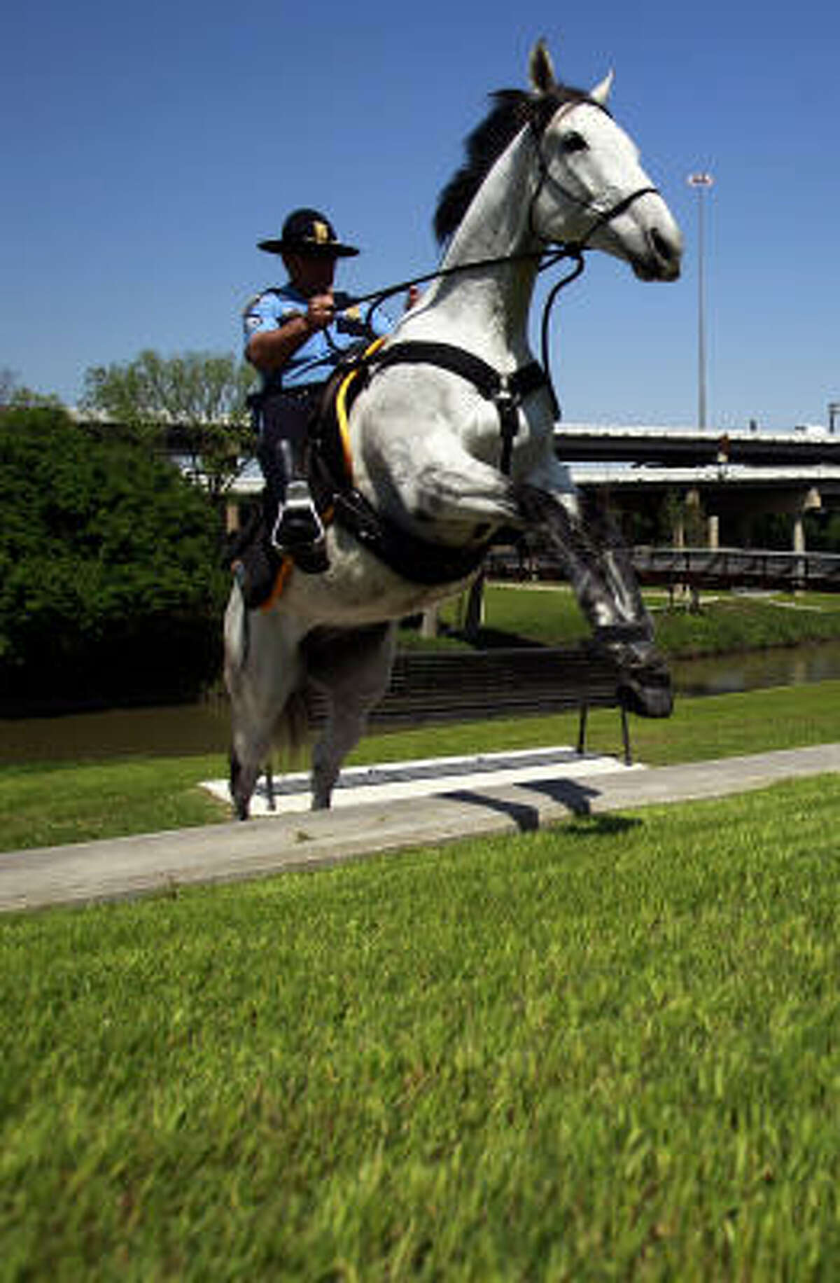 Mounting deficits could rein in HPD's mounted patrol