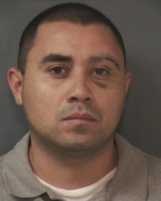 Driver in crash that killed Houston toddler surrenders