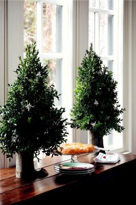 Make a mini-tree from fresh greenery