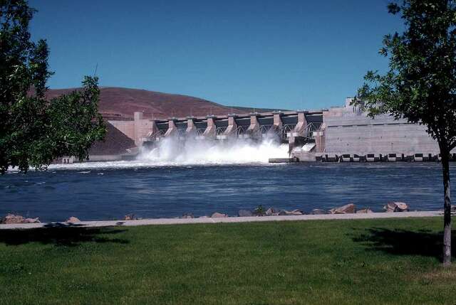 'Fish flush' could be part of orca and salmon recovery