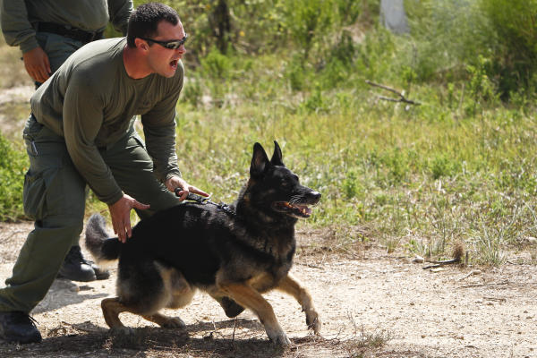 Lockhart ranch lets elite agents go all-out for training