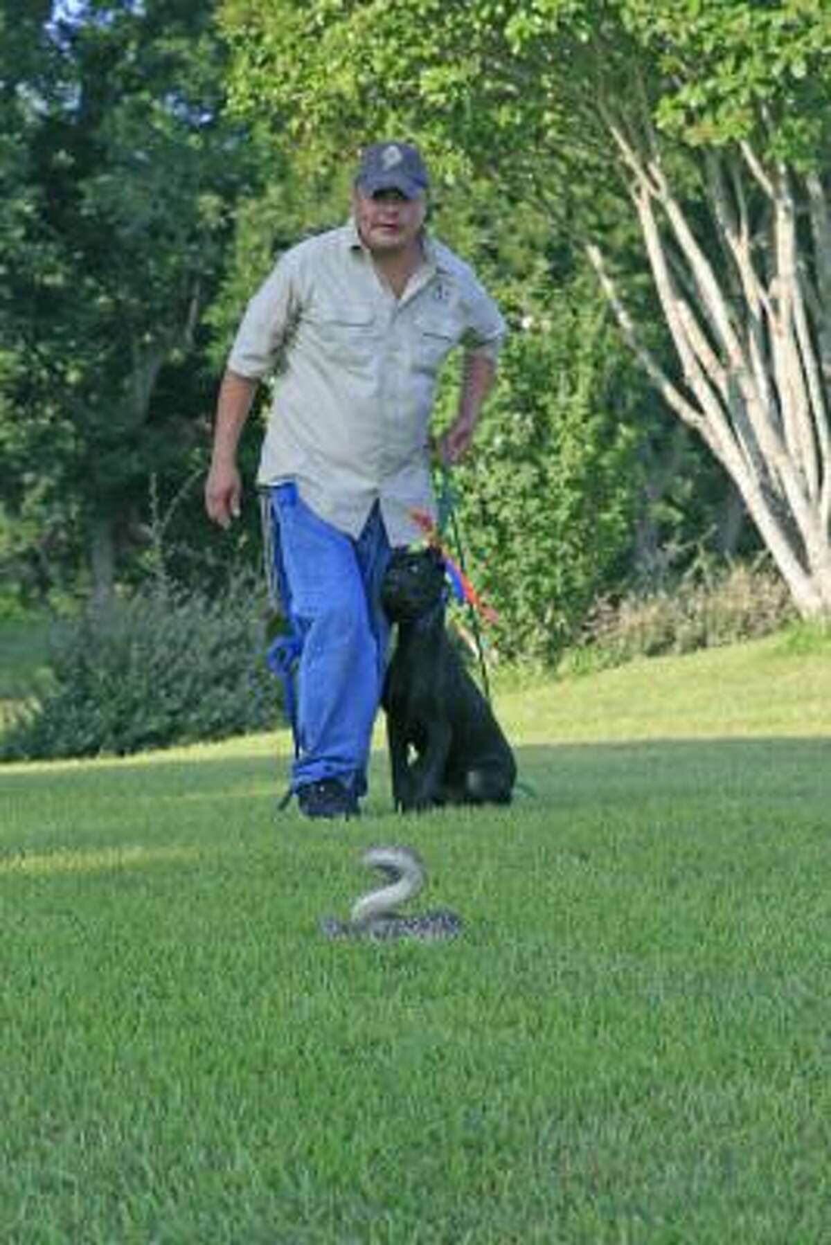 Tompkins: Clinic helps dogs avoid deadly encounters