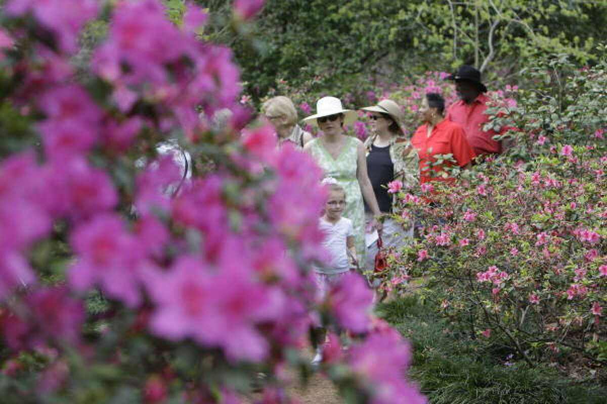 Azalea Trail returns to Houston Friday