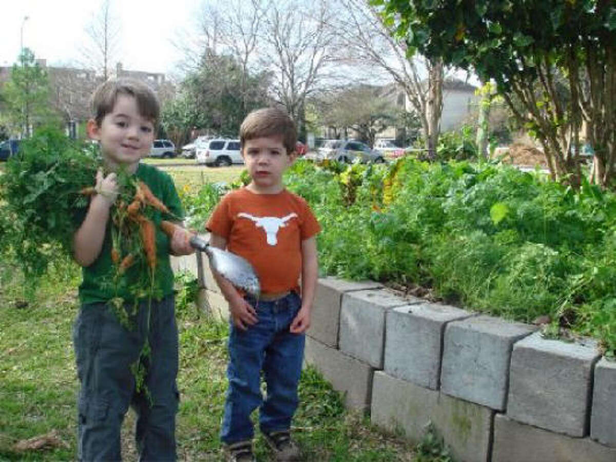 Houston spring vegetable guide