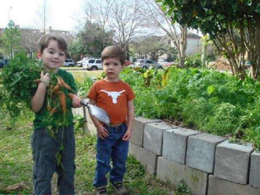 Houston spring vegetable guide