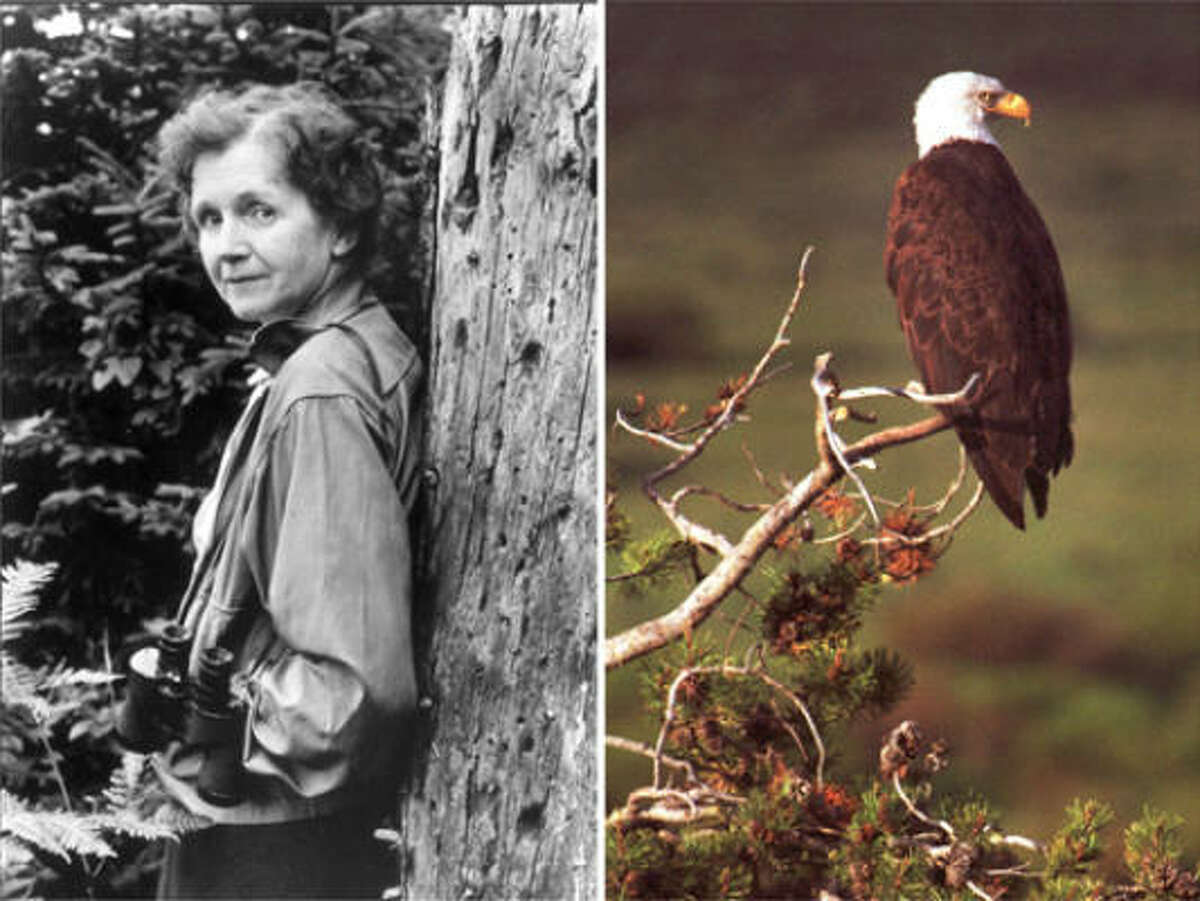 Environmental disasters