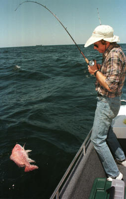 Reel in those expectations of red snapper fishing haul