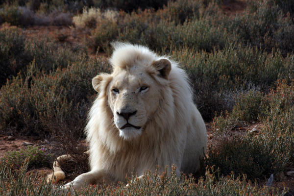 offbeat photos of the week