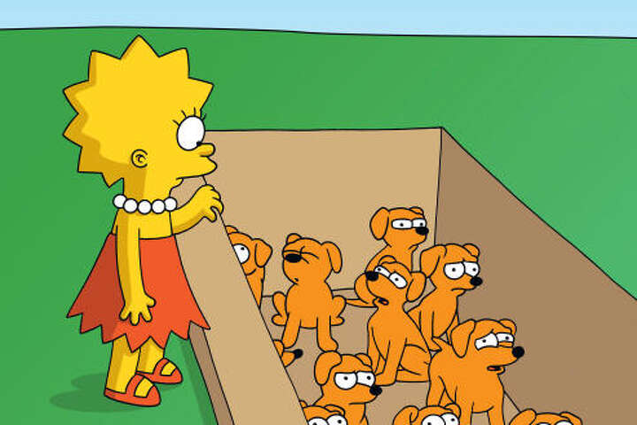 The Simpsons' pets