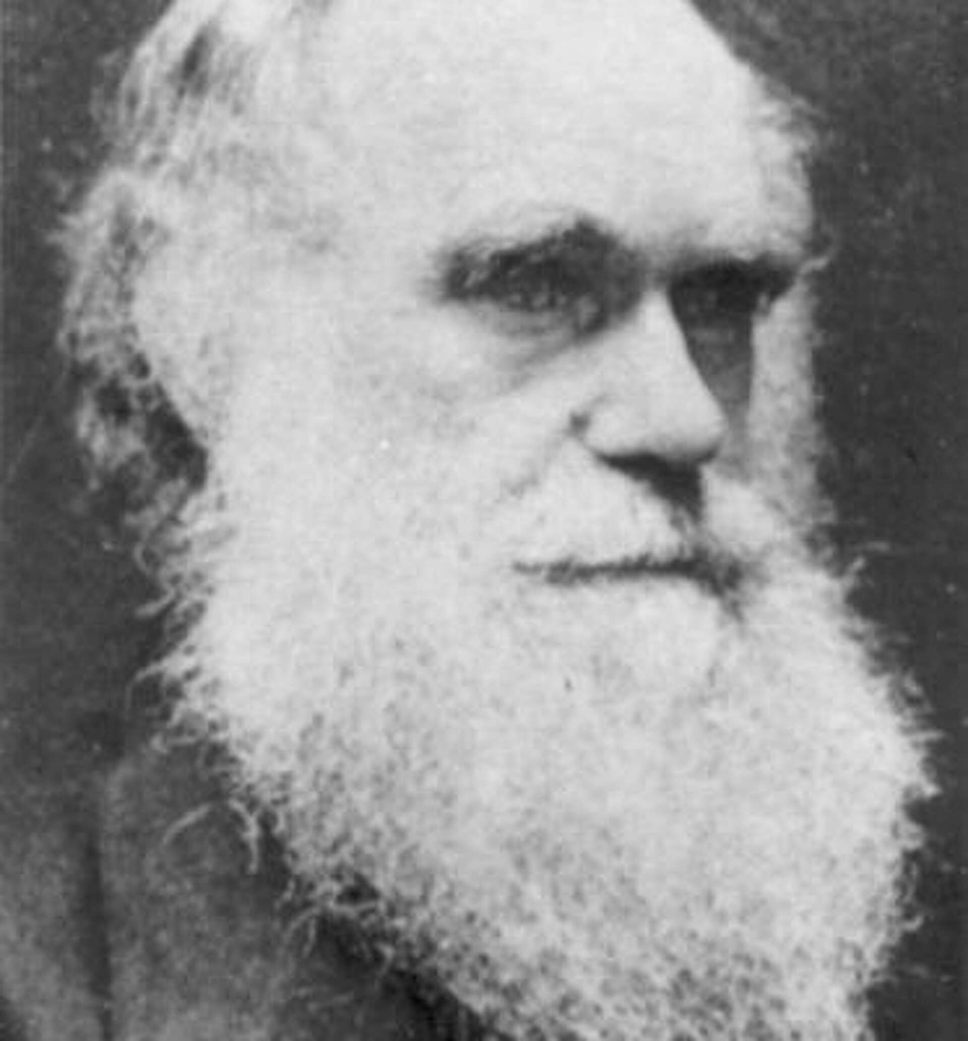 Teacher brings Darwin to life in lessons