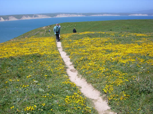 Coastal wildflower hikes for spring