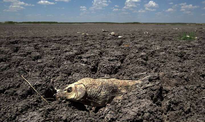 Forecasters: Texas drought might persist for another year