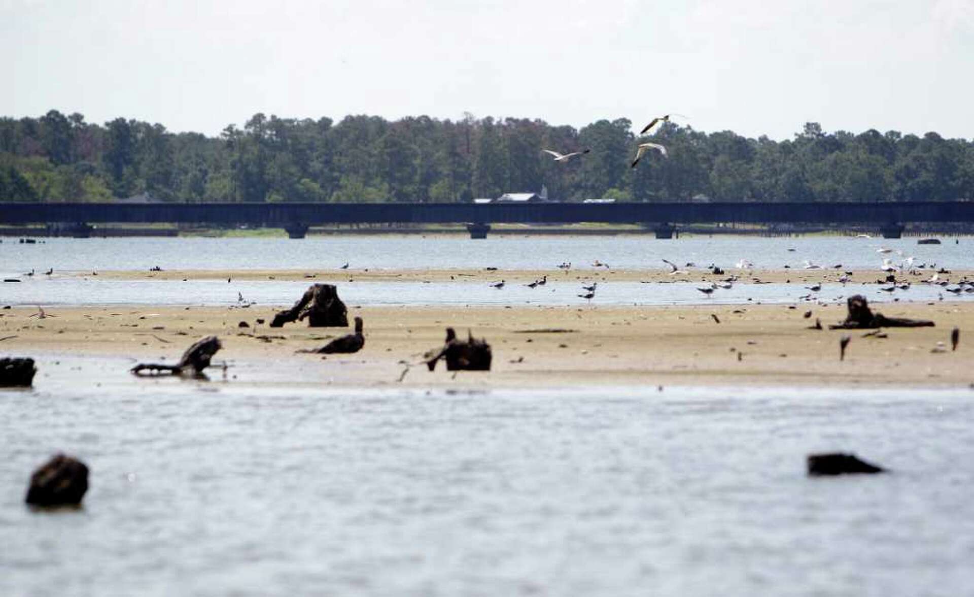 Forecasters: Texas drought might persist for another year