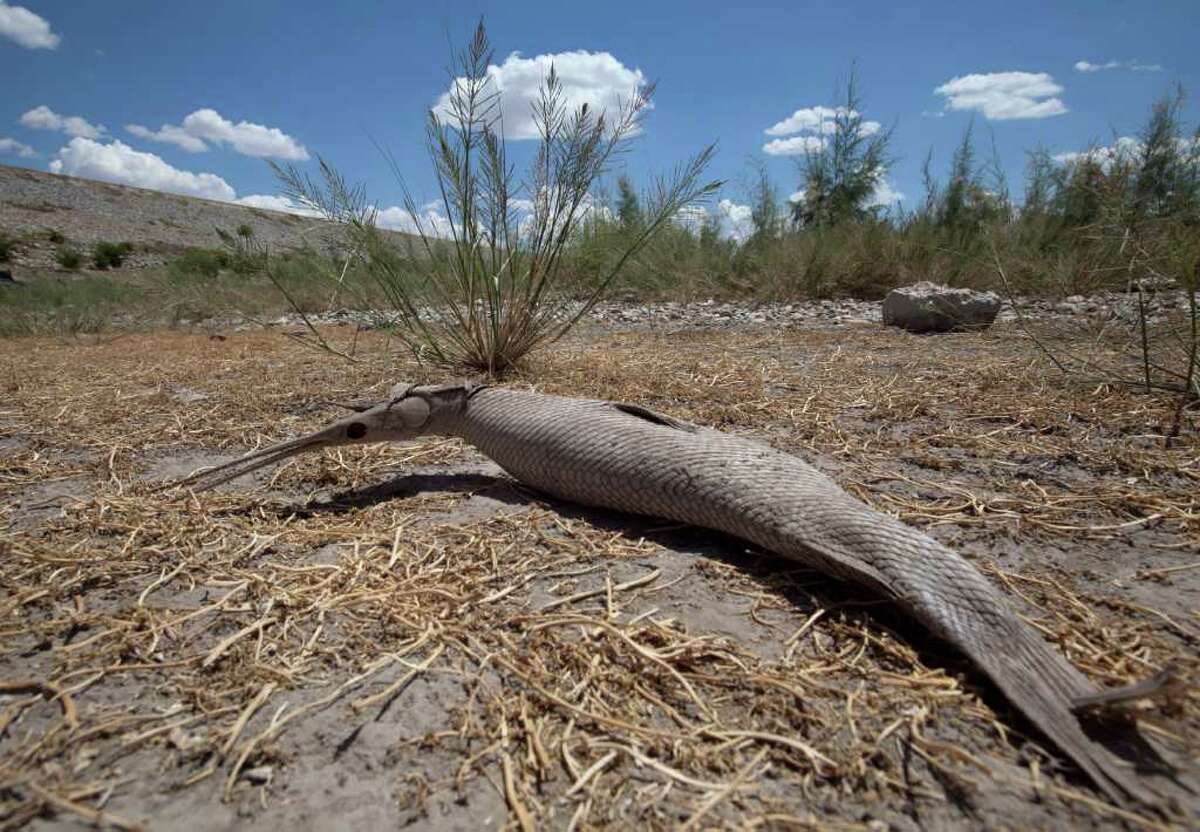 Forecasters: Texas drought might persist for another year
