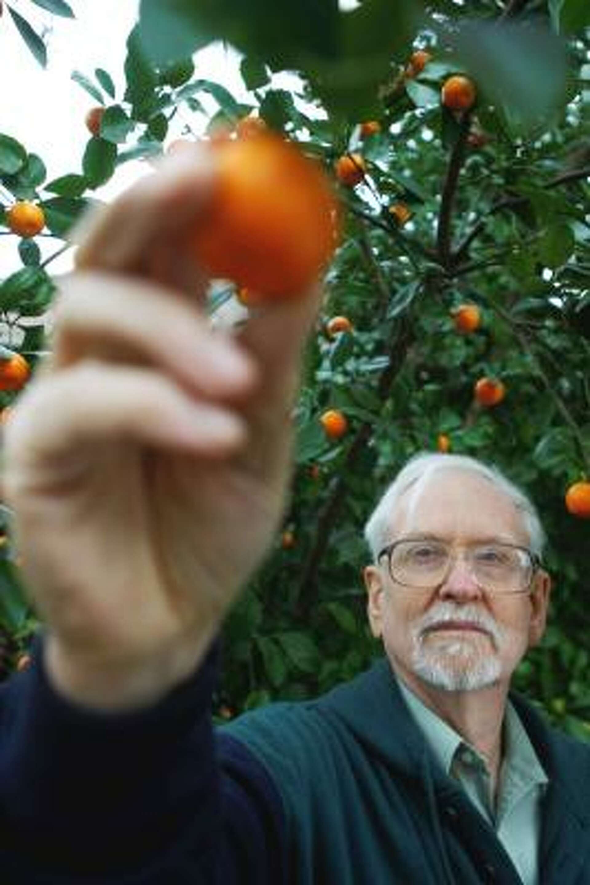 Houston citrus FAQ from Dr. Bob Randall