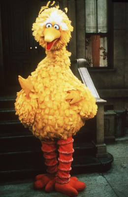 Big Bird's still huge as Sesame Street hits 40
