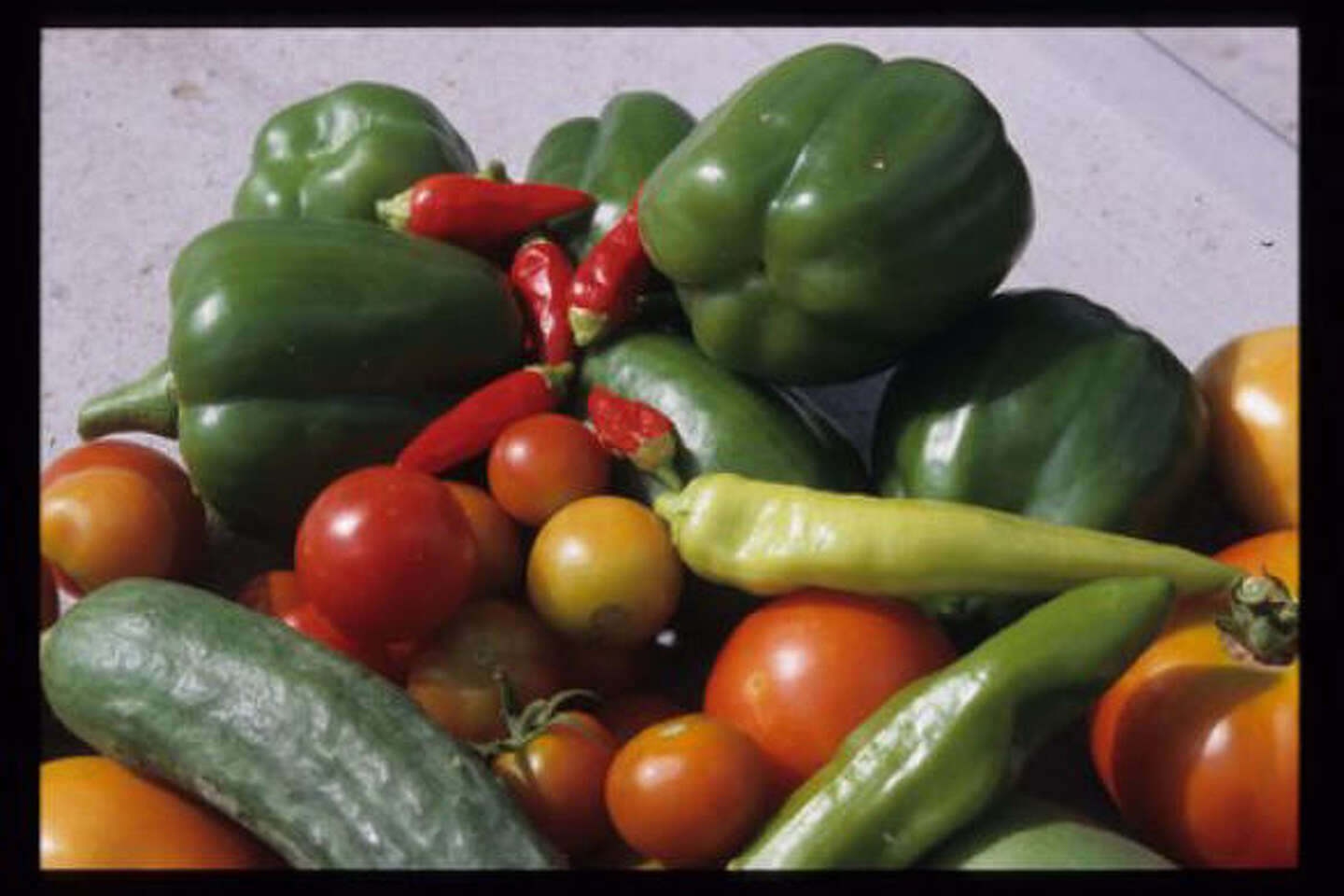 94 vegetables to grow in Houston - and counting