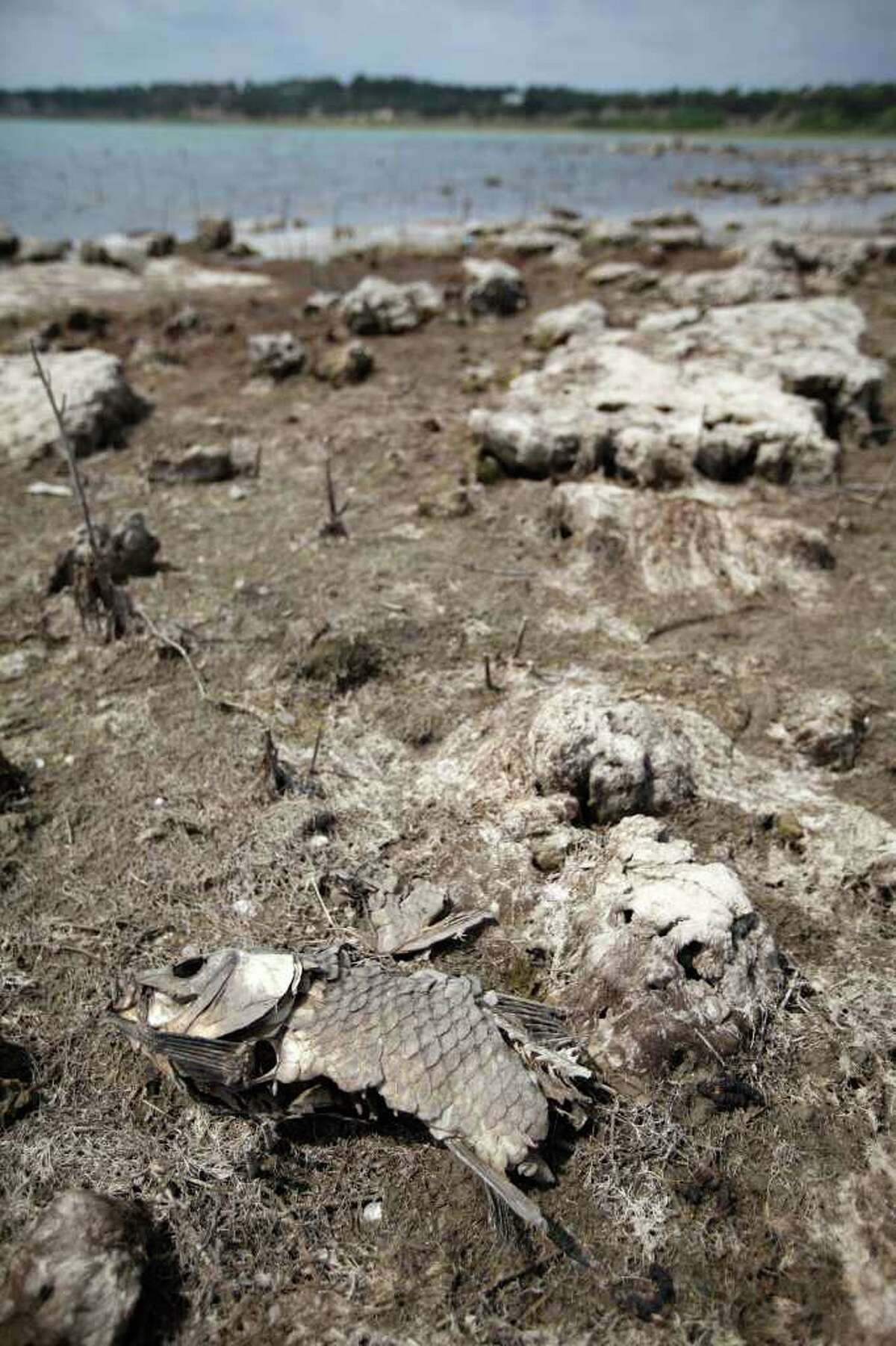 State is in its worst one-year drought ever