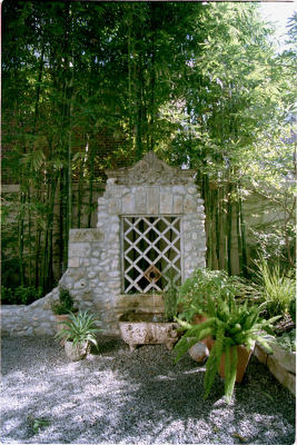 Wall of green: Create privacy fence with plants