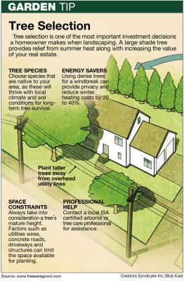 Shade trees can grow home value