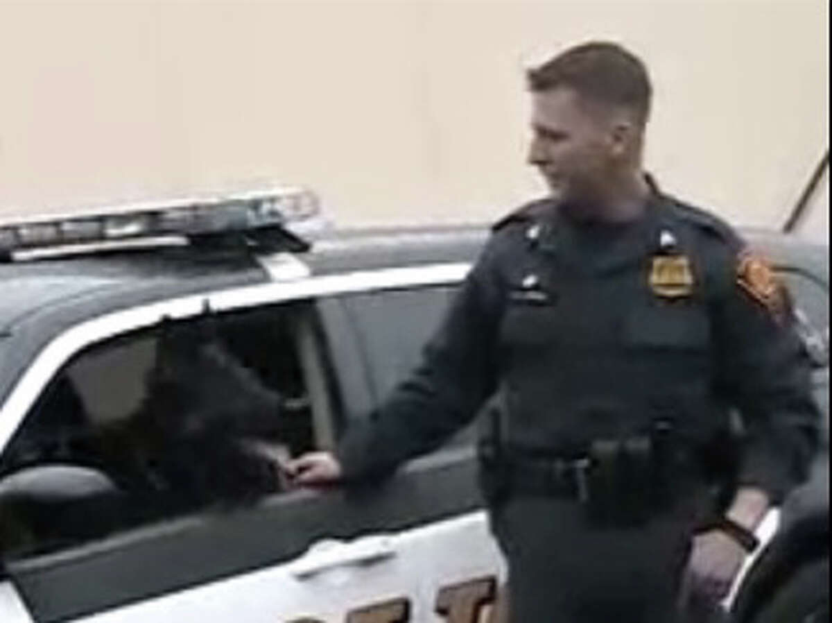 Bridgeport police dog injured in hit-and-run accident