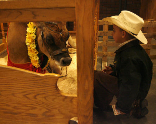 Food, fun and the farm open Houston rodeo