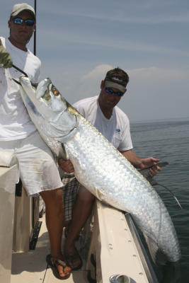 Tompkins: Tarpon in running to represent Texas fish