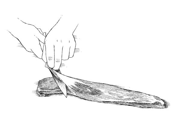 Removing the silver skin from pork tenderloin