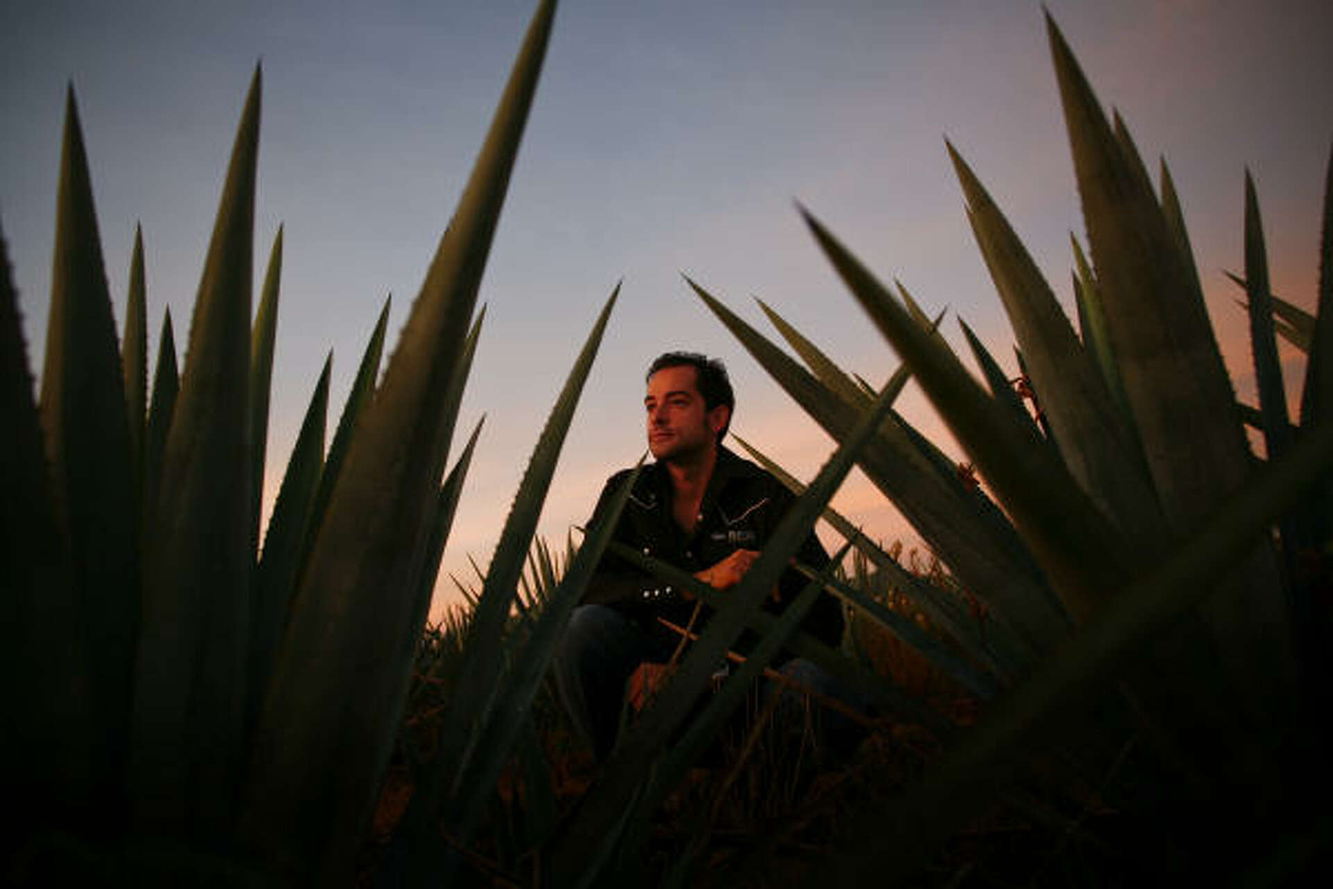 Entrepreneur's agave farm rises with tequila's popularity
