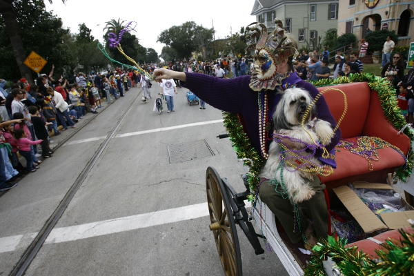 Krew of Barkus and Meoux Mardi Gras Parade