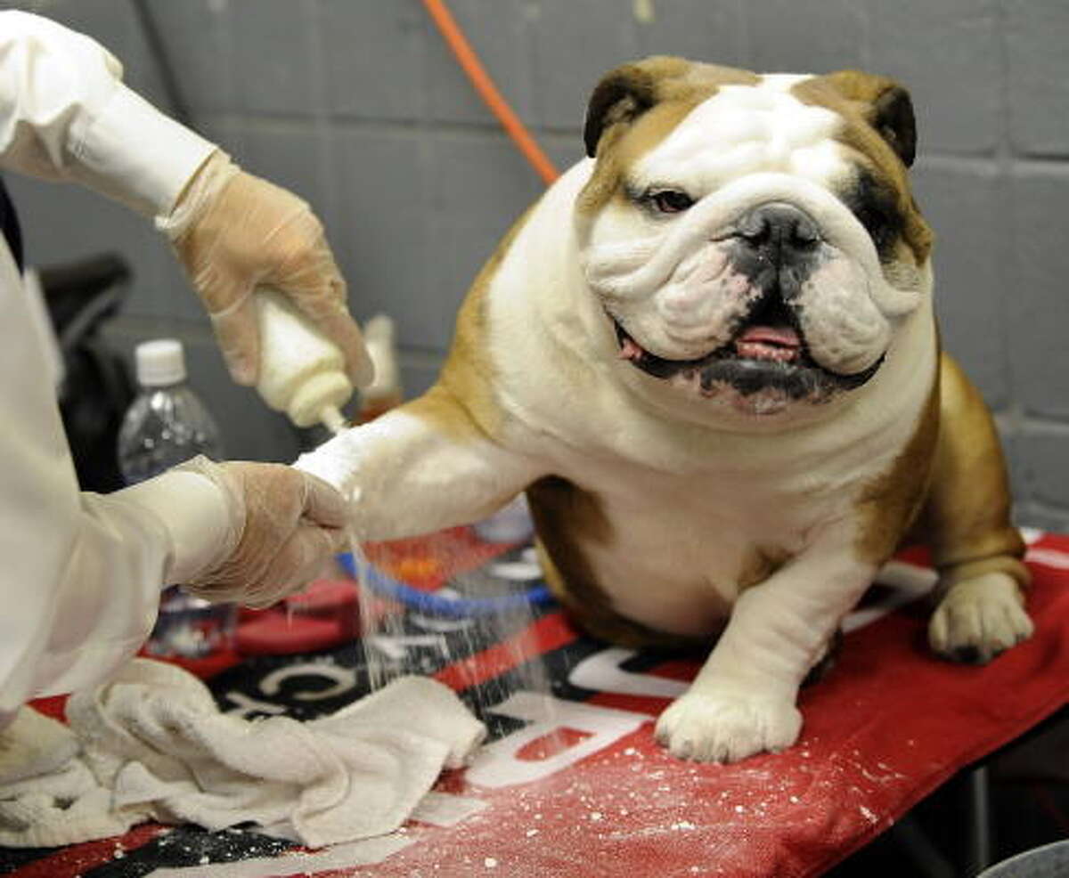 Are you tipping enough?