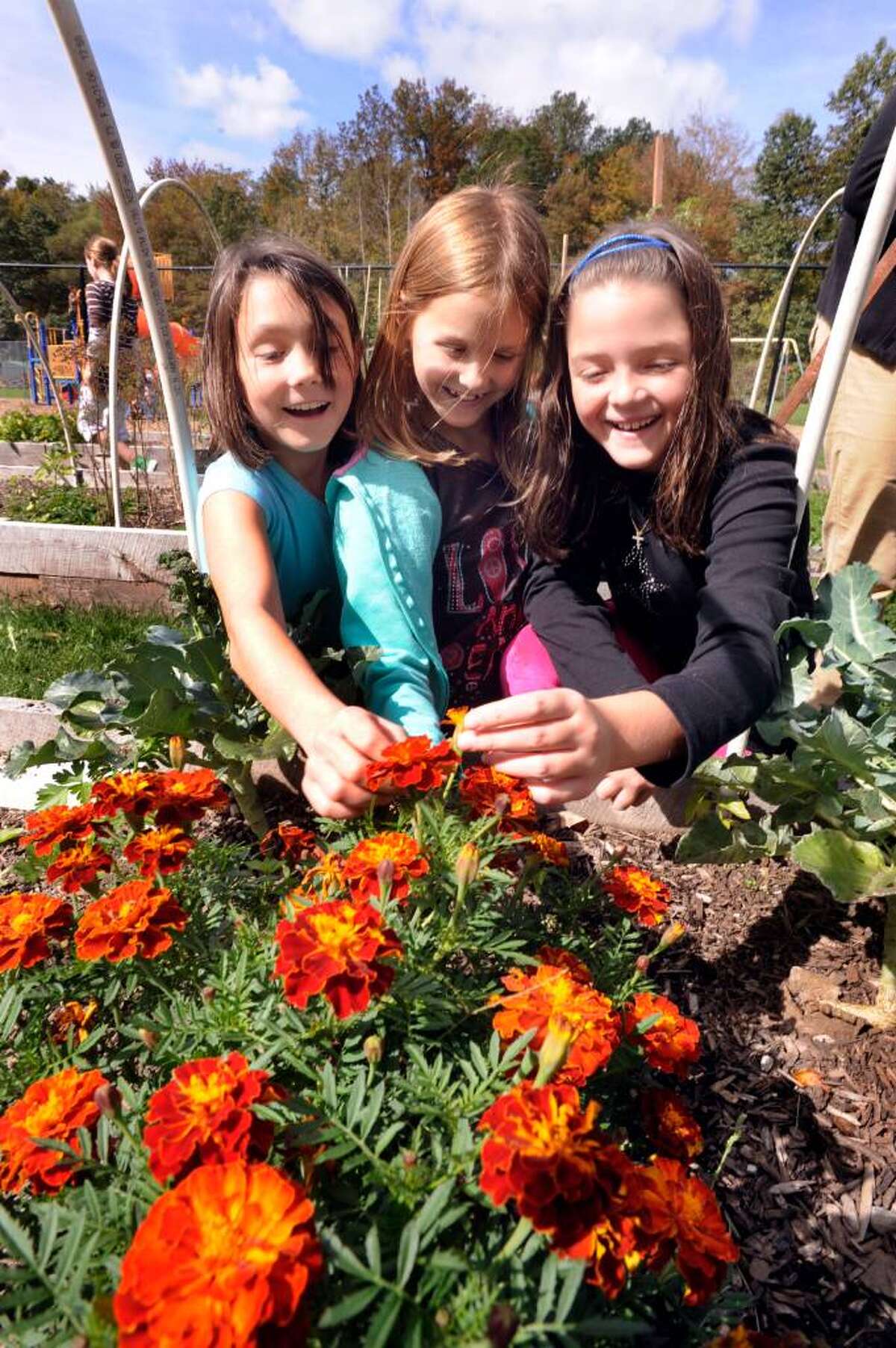 Garden benefits students and community